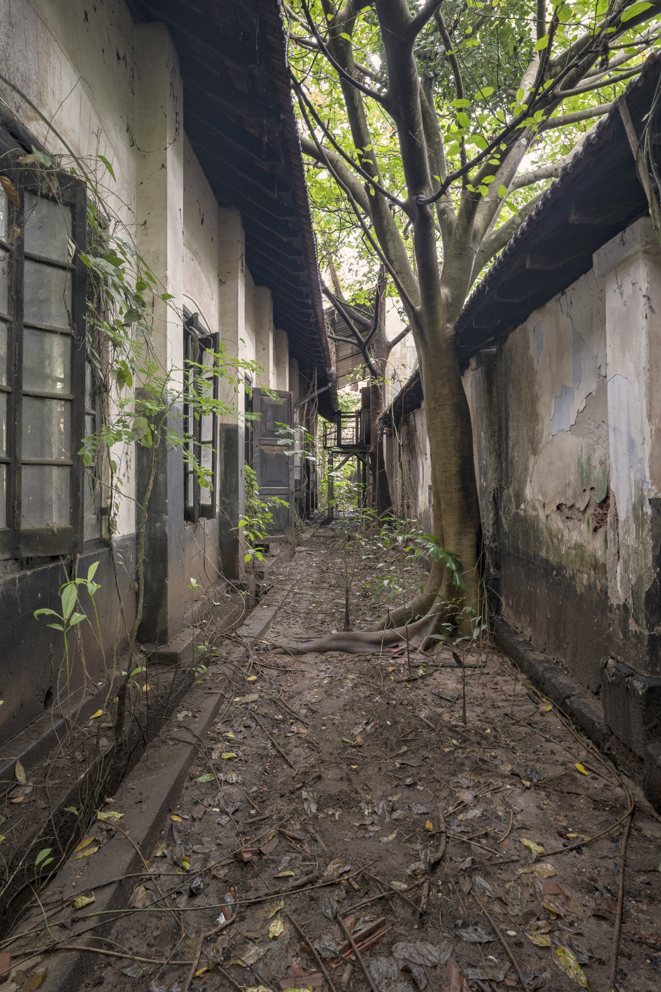 "It is difficult to think that the area once provided people hope and ...