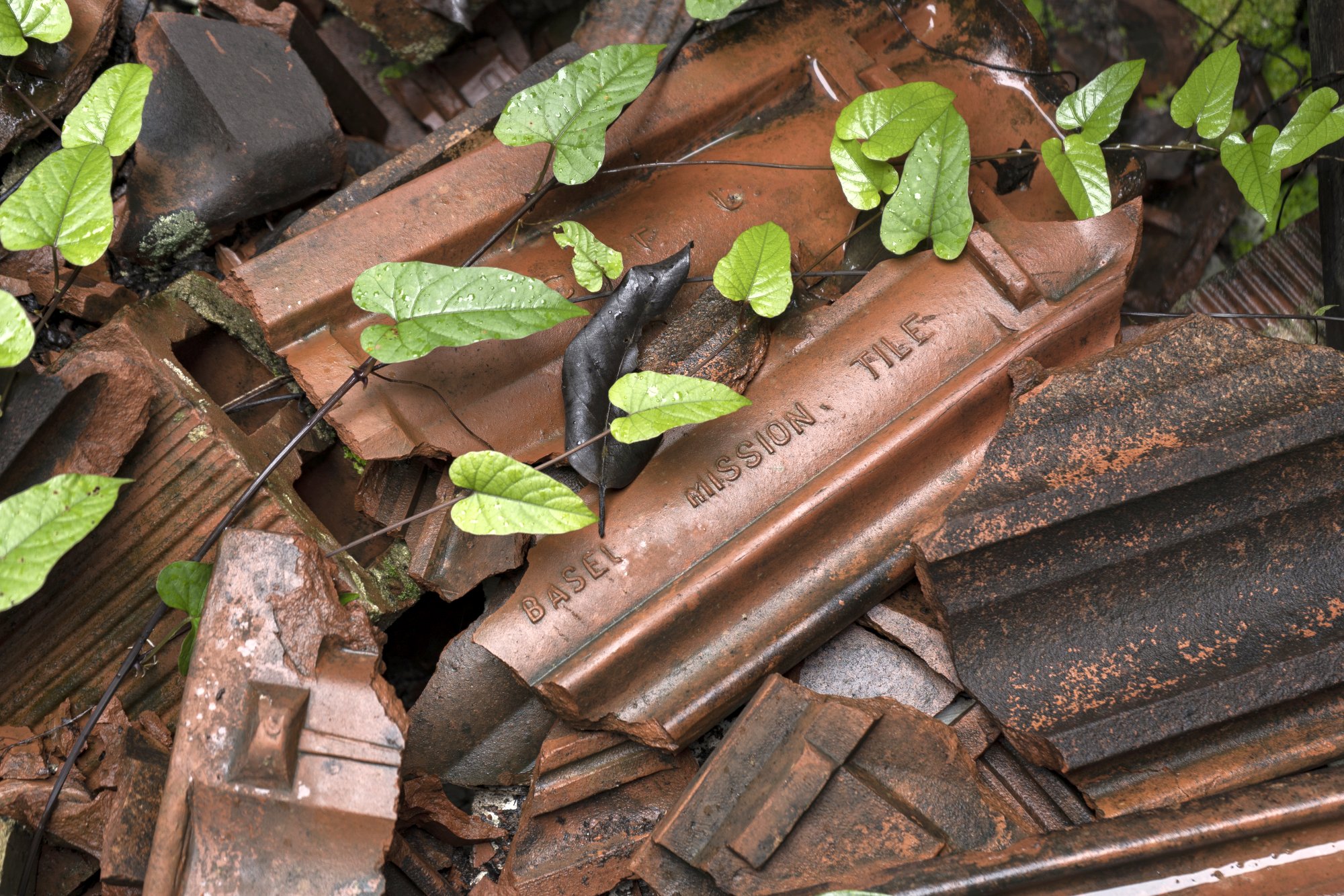 "It is difficult to think that the area once provided people hope and ...