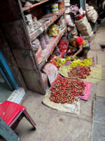 Rising from Adversity: Building resilient housing for low-income ...