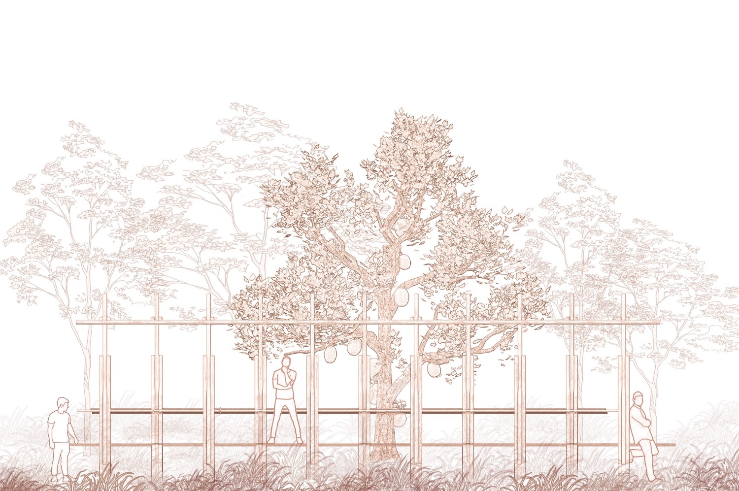 Trestle Pavilion, by Studio Terratects - ArchiSHOTS - ArchitectureLive!