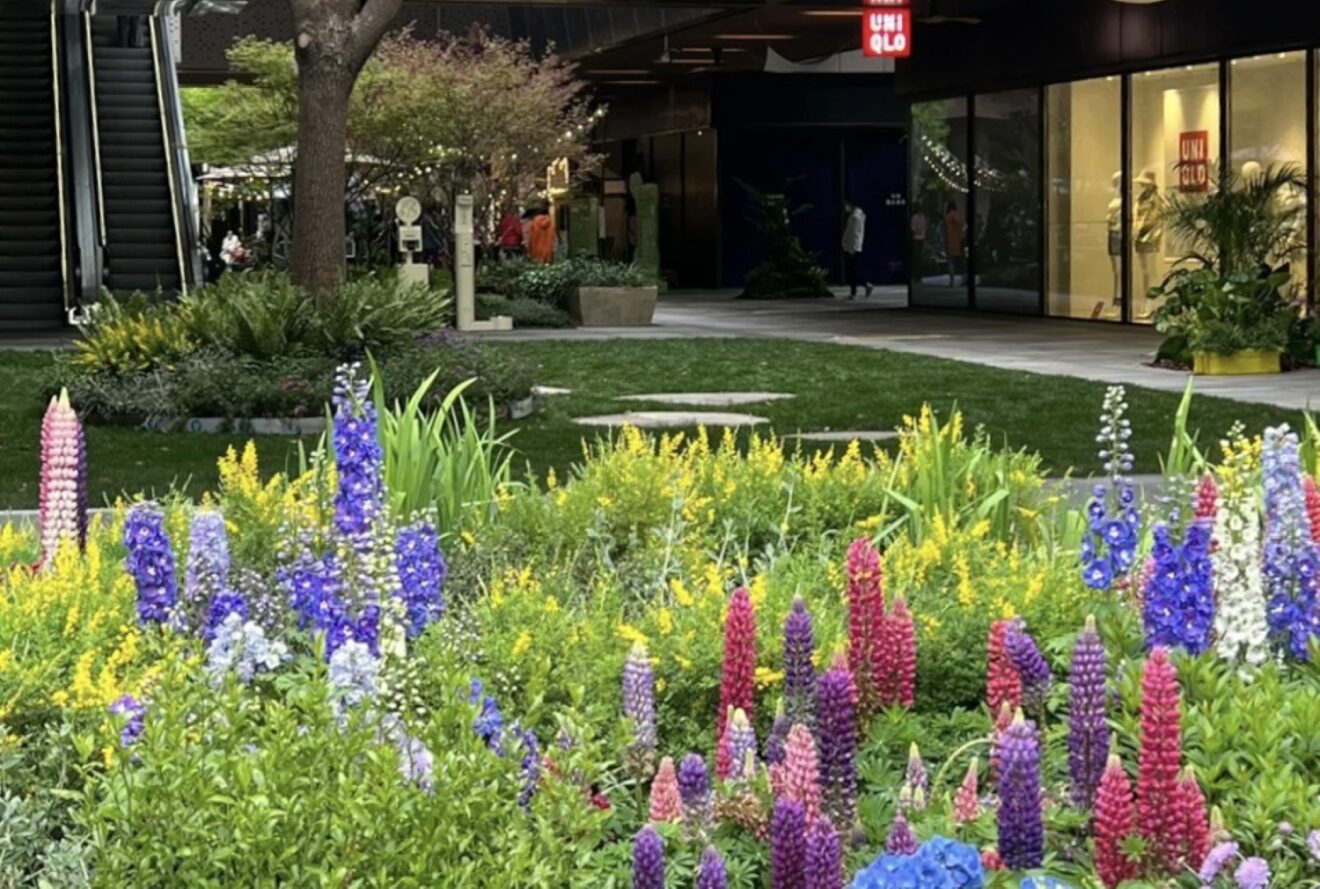 Shanghai Moon Bay Neighbourhood: Commercial Street Renovation Phase 1, by FLO Landscape Design ...