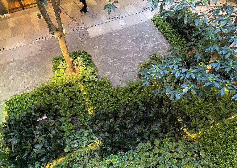 Shanghai Moon Bay Neighbourhood: Commercial Street Renovation Phase 1 ...