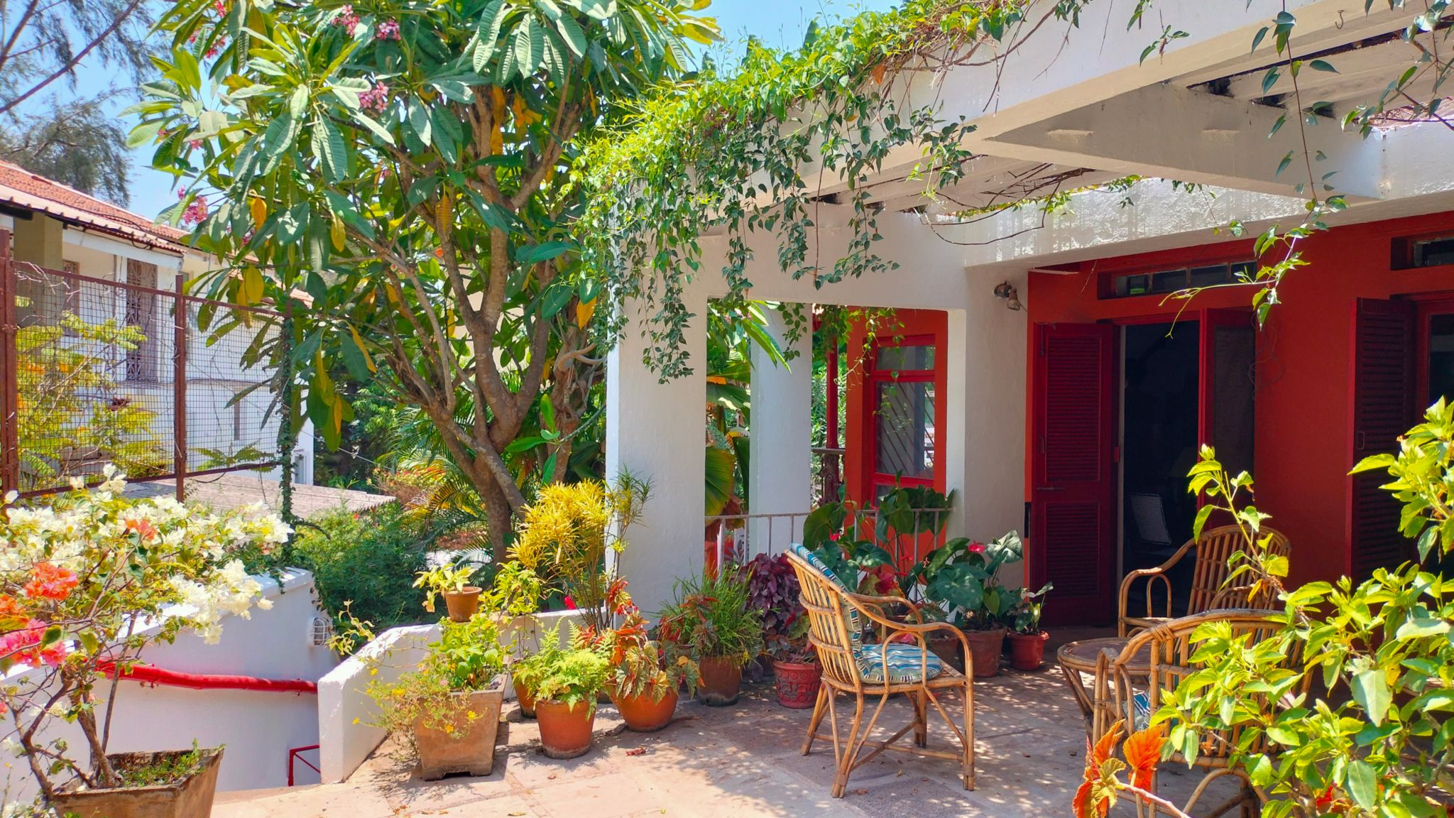 The DNA of a Universal Man | Edgar Demello's Tribute to Bruno Dias Souza