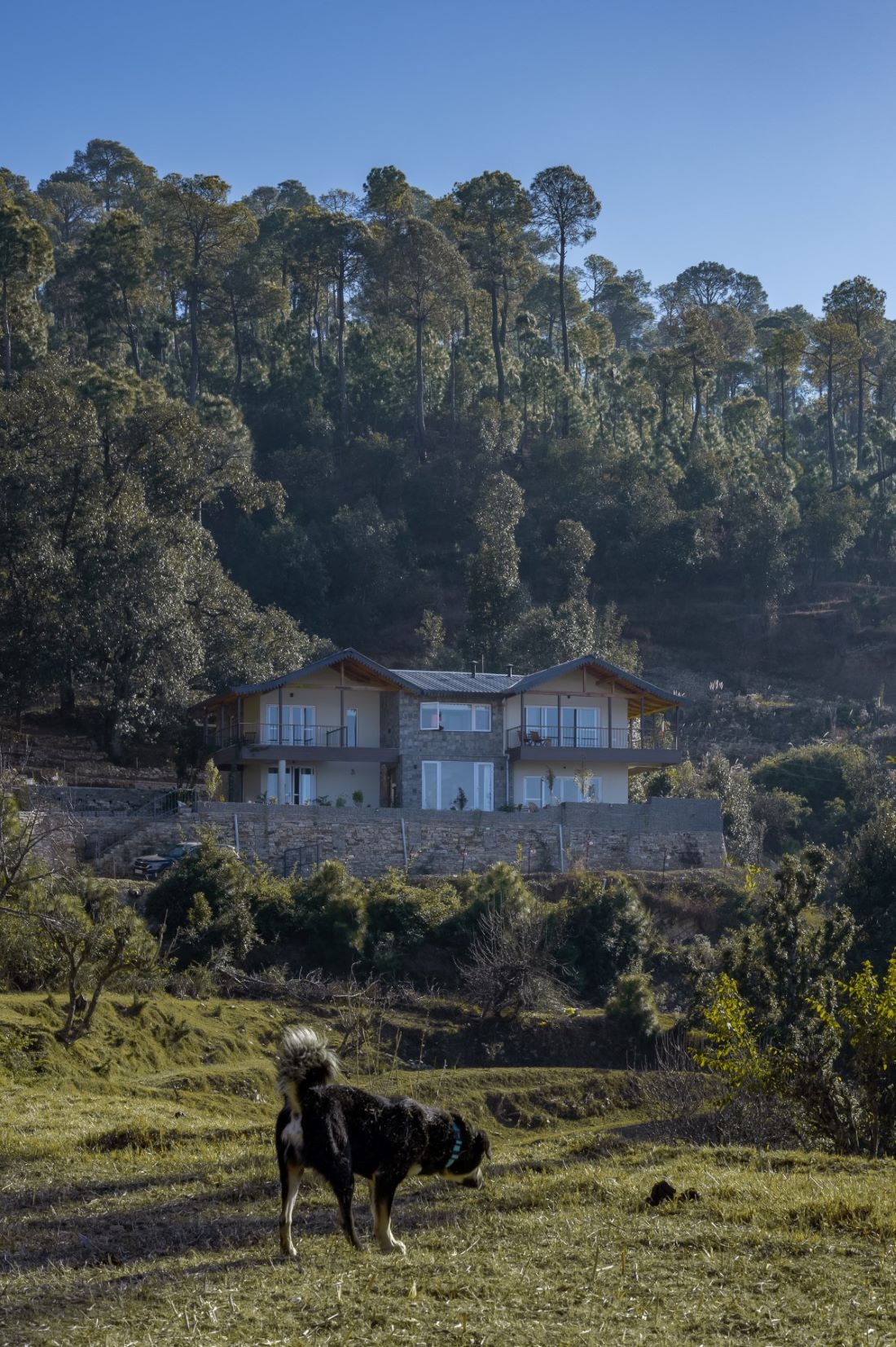 B.Arch Thesis: Eco-Tourist Hub of KHONOMA Village, By Shanjo A. Kithan ...